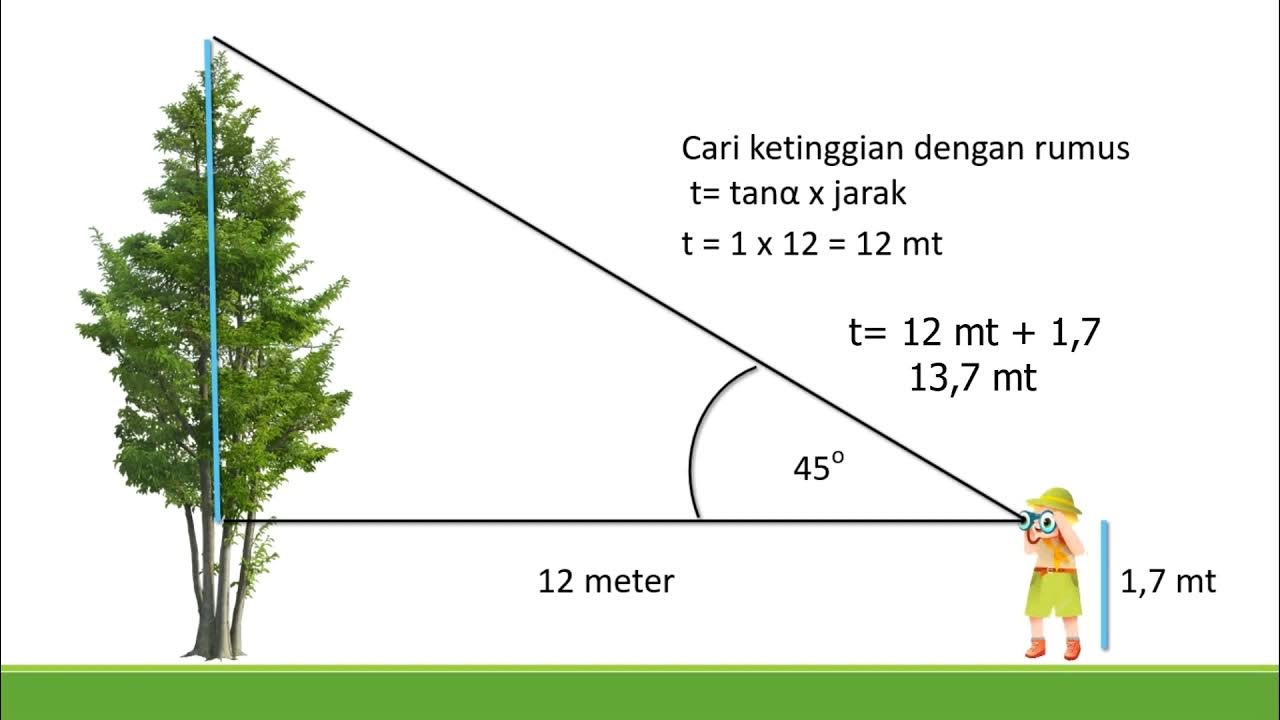 Teknik Menaksir dalam Pramuka: Cara Mudah Mengukur Jarak dan Tinggi