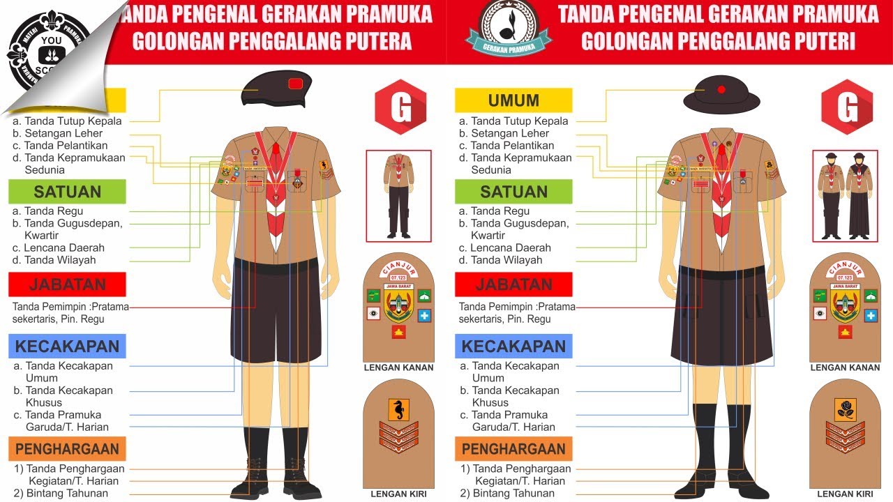 Tanda Tanda Pengenal Gerakan Pramuka: Fungsi, Tingkatan, dan Contohnya